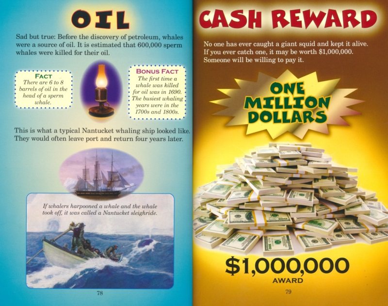 Who Would Win Fiercest Feuds 5 Books in 1学乐猜猜谁会赢动物大比拼儿童趣味百科 STEM科普课外读物 ...