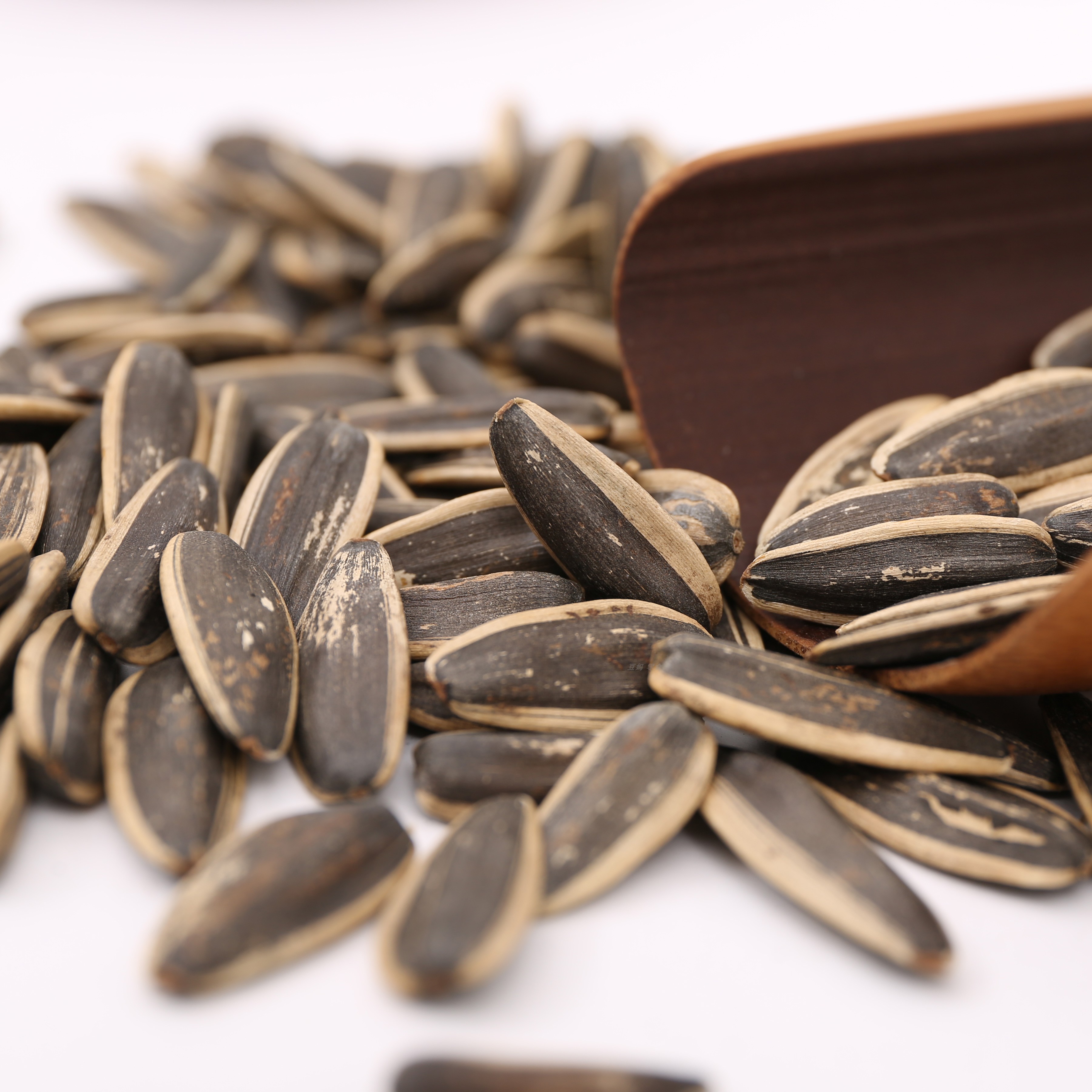 洽洽原香奶香瓜子258g*20袋整箱恰恰原味葵花籽坚果炒货休闲零食_虎窝淘