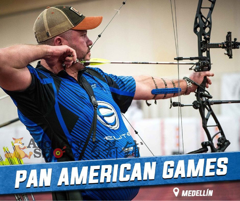 Elite精英Echelon阶梯复合弓胜利Revol雷沃尔滑轮弓射准比赛弓箭_虎窝淘