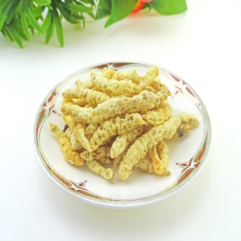 草石蚕天然纯新货中药材地蚕草食蚕地虫土冬虫草白冬虫草500g_虎窝淘