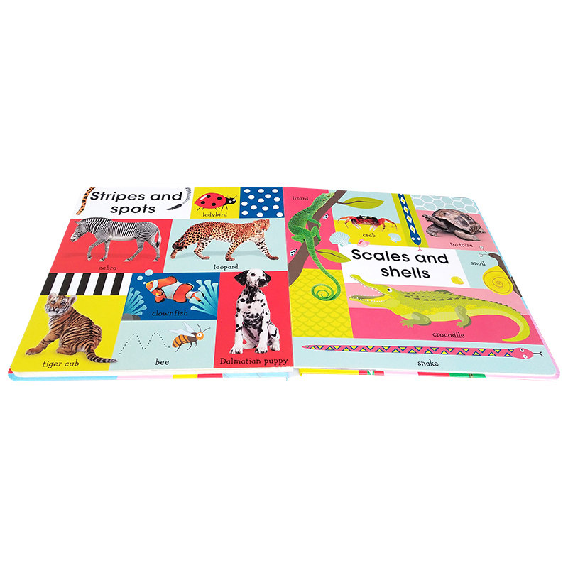 DK出版英文原版100 First Animals低幼儿童精装撕不烂纸板书可爱小动物亲子育儿英语启蒙早教认知绘本图画书正版进口读物书籍童书_虎窝淘