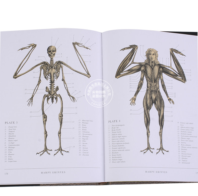 现货 盗尸者：神兽精细解剖图 神话生物再生论 英文原版 The Resurrectionist: The Lost Work of Dr ...