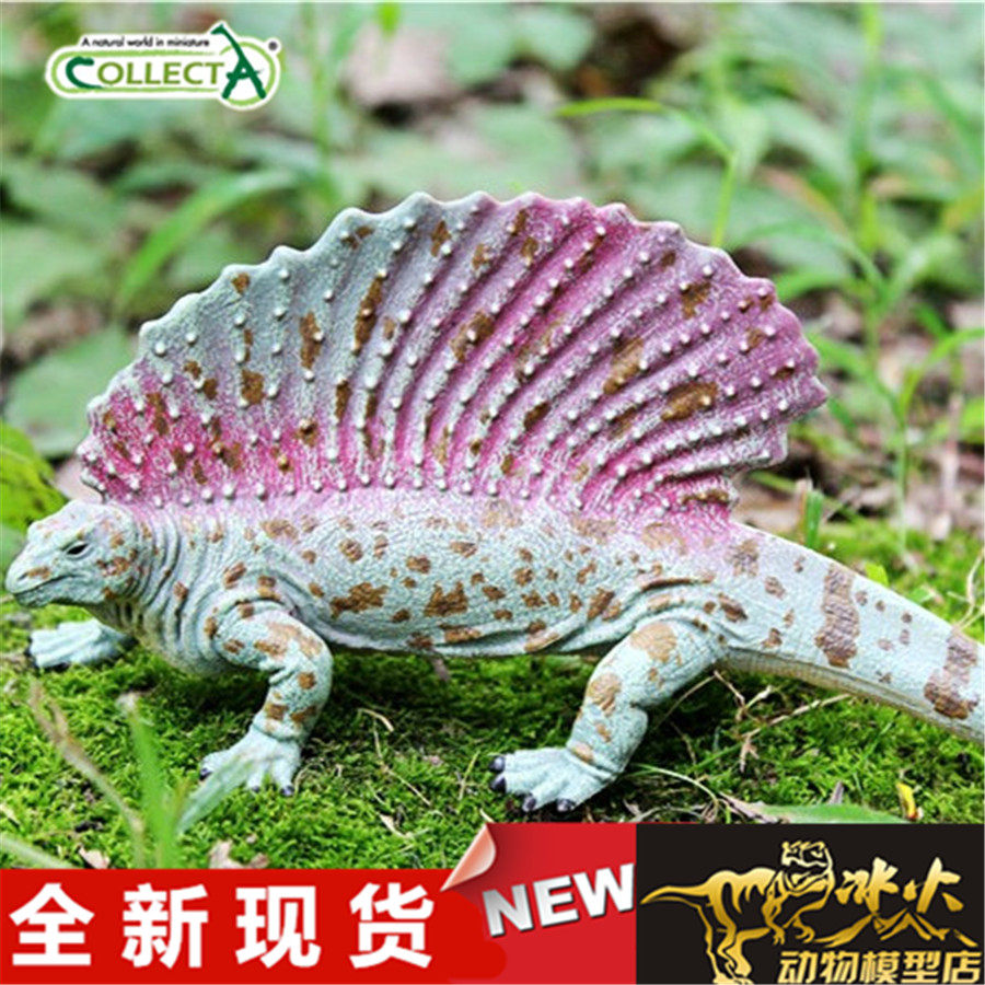 COLLECTA我你他野生动物恐龙模型玩具基龙 88840全新现货_虎窝淘