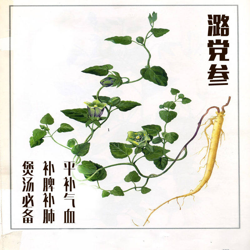 党参250g中条无硫特级山西上党当归黄芪切片煲汤党参