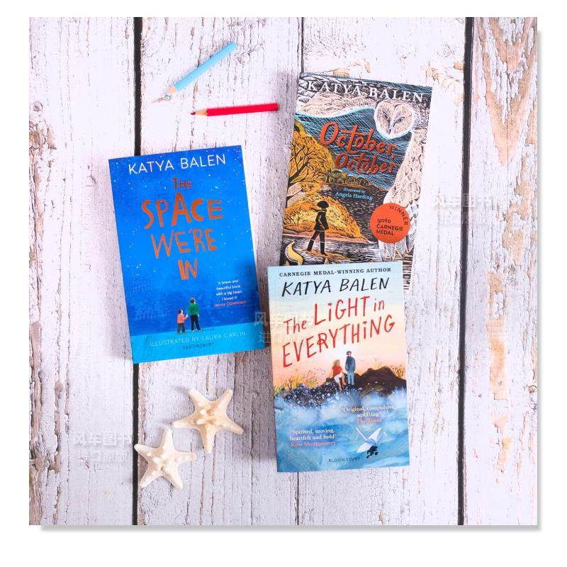 【预售】万物之光 The Light In Everything 2023卡内基文学奖短名单平装英文原版儿童文学读物英语小说进口书籍 ...