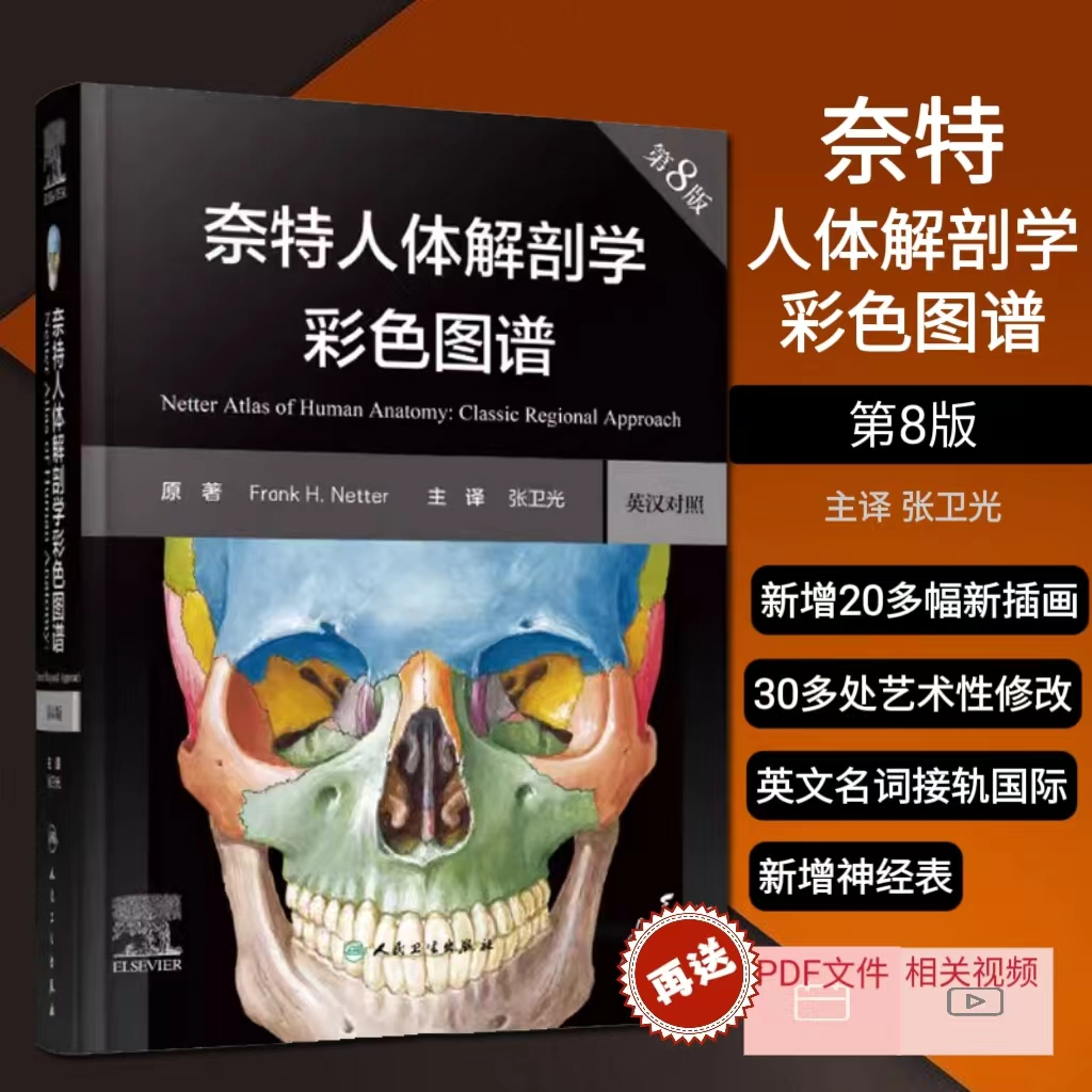 奈特人体解剖学图谱第8八版人卫彩色局部耐特系统格氏骨骼结构神经临床基础教材生理外科内科法医解刨解破医学类医学书籍解剖图谱_虎窝淘