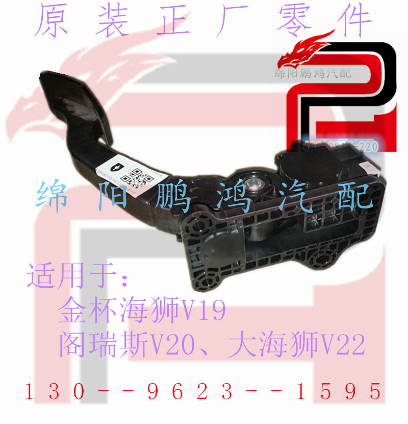 金杯大海狮V19阁瑞斯V20锐驰V22 2TZ电子油门脚踏板模块3095082型_虎窝淘