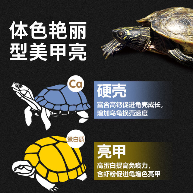Petshang turtle grain turtle feed grass turtle Brazil turtle special ...