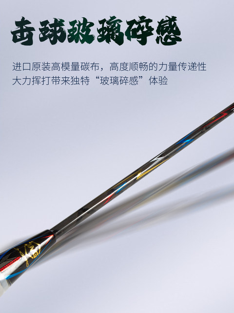 Break GS 100MX DGP B10 TK70P 80 90 100 MK NF700 All-carbon Badminton Racket