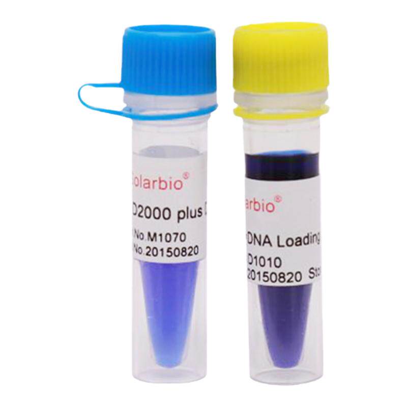 Solarbio索莱宝D2000 DNA Ladder plus琼脂糖凝胶电泳DNA条带分析
