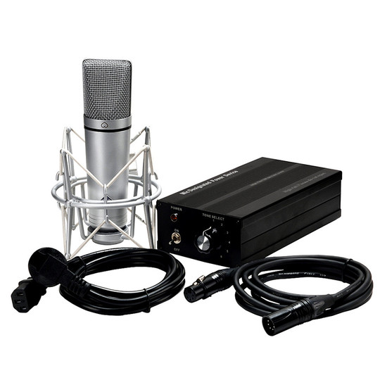 Brauner Microphone Original 1:1 Reproduction High-End Capacitor ...