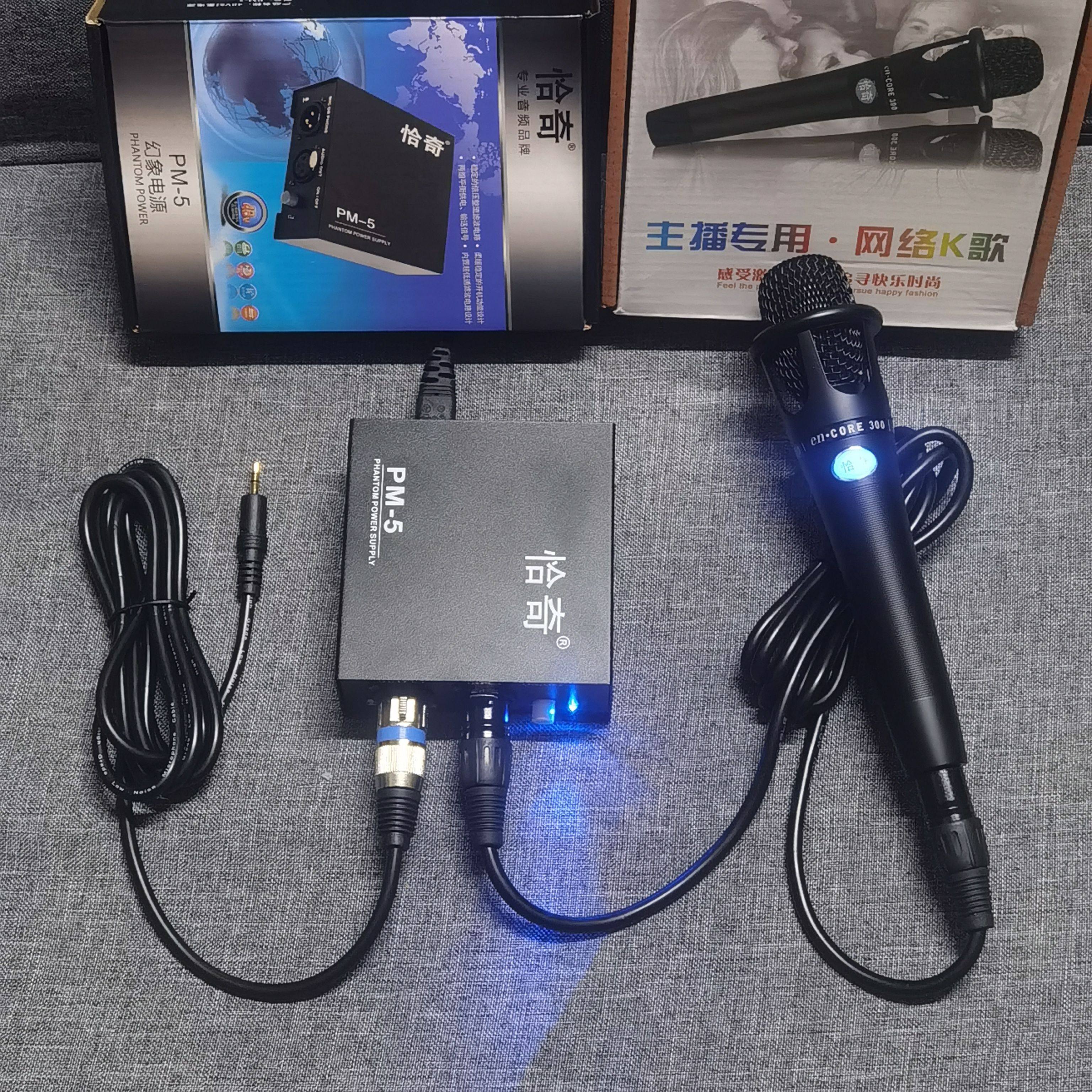 大功率麦克风怎么翻译_大功率麦克风英文用法_大功率麦克风英语例句_淘宝翻译网