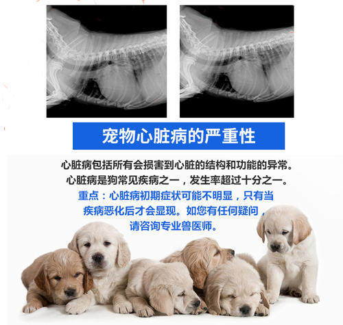 阿克苏宠物店宠物犬怎么翻译_阿克苏宠物店宠物犬英文用法_阿克苏宠物店宠物犬英语例句_淘宝翻译网