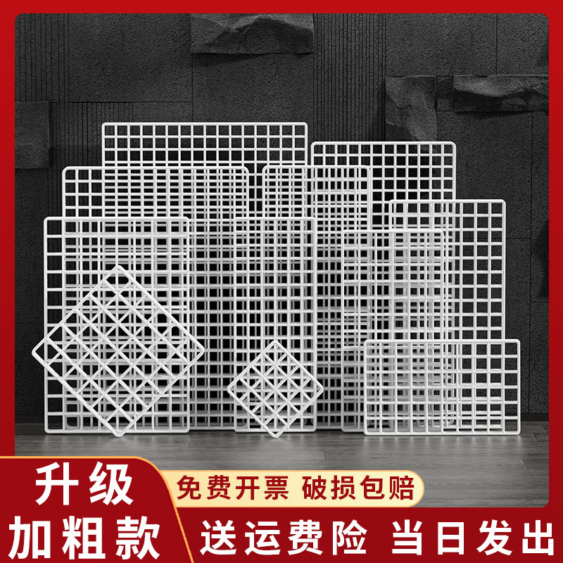 宠物婚介网怎么翻译_宠物婚介网英文用法_宠物婚介网英语例句_淘宝翻译网