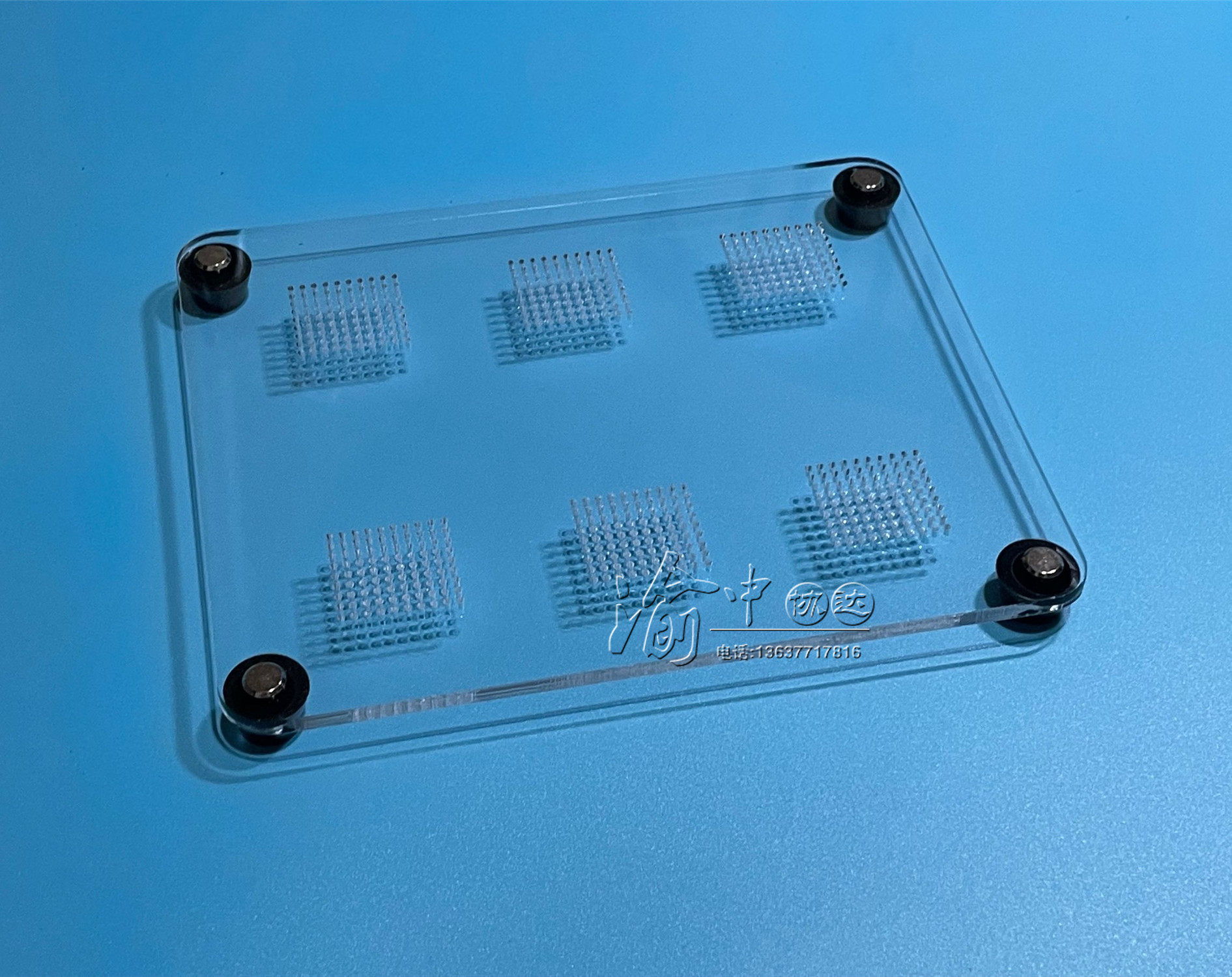 [USD 13.00] Mouse dissection table Mouse dissection table Mouse ...