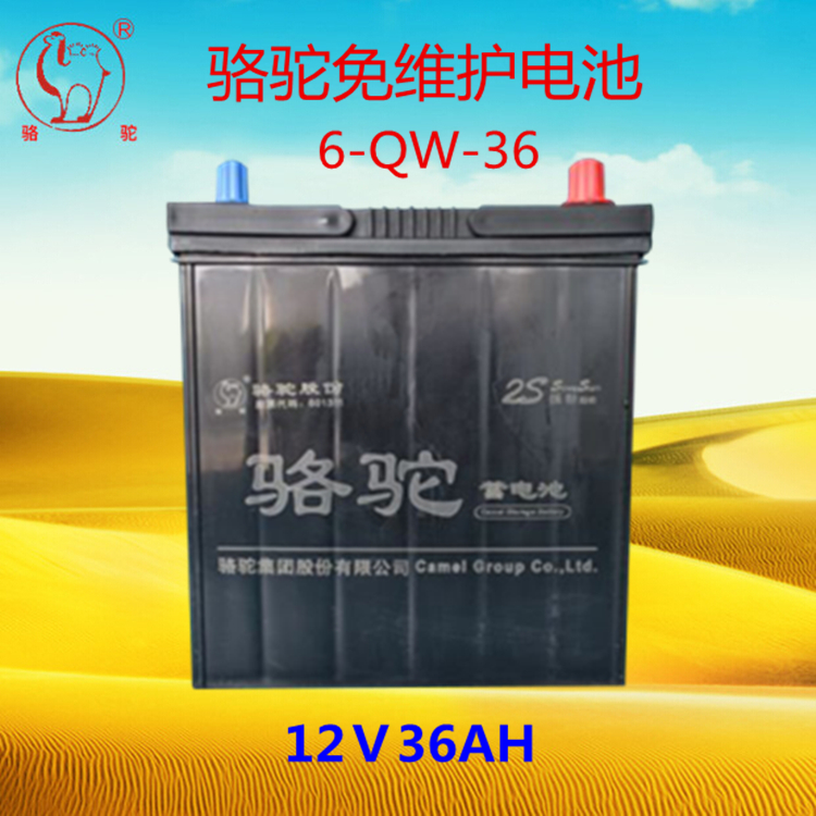 Camel 6-QW-36 battery 12Ⅴ36ah start
