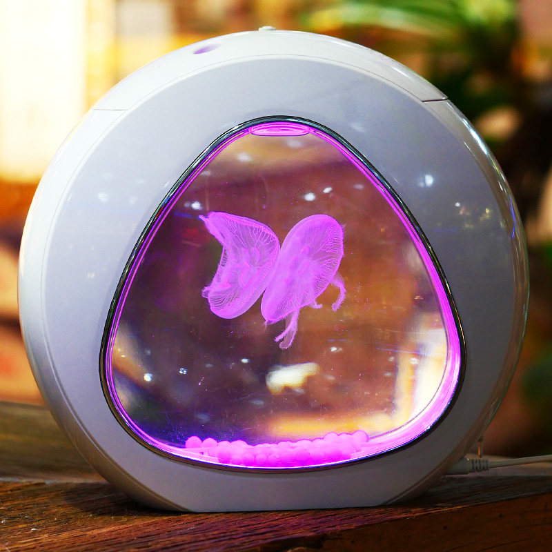 [USD 68.46] Moonlight Jellyfish Live Starter Jellyfish Tank Pet Mini ...
