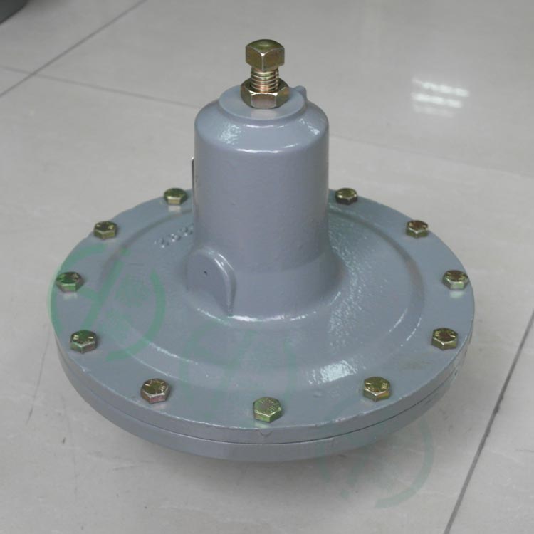 Fisher费希尔MR95H调压器MR95L燃气减压阀DN15美国正品DN25耐腐蚀-阿里巴巴