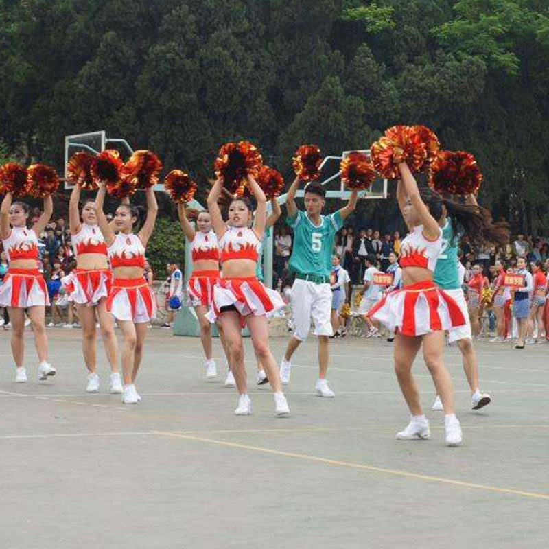 [USD 4.99] cheerleading cheerleader hand cheerleading flower ball large ...