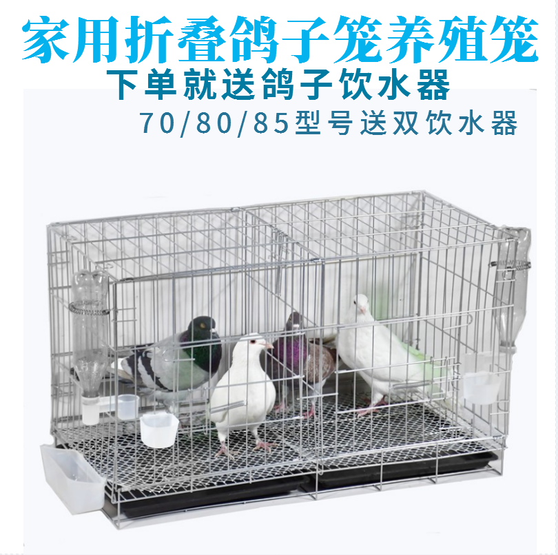 🏠 Highly recommended! cost-effective stainless steel pigeon cage, a ...