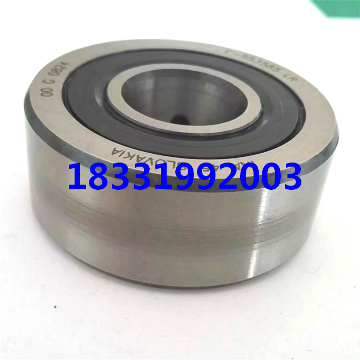 F-238258.01英制非標軸承INA進口高速高溫INA45軸承SLOVAKIA 0045