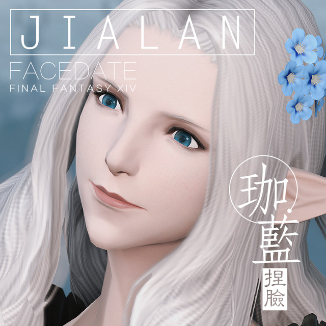 FF14 Final Fantasy 14 Pinch Face Data Face Elves Female Essence