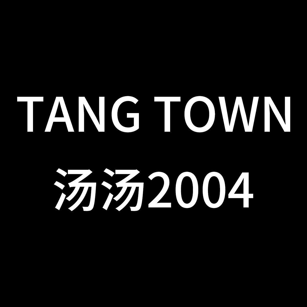 汤汤2004 TangTown