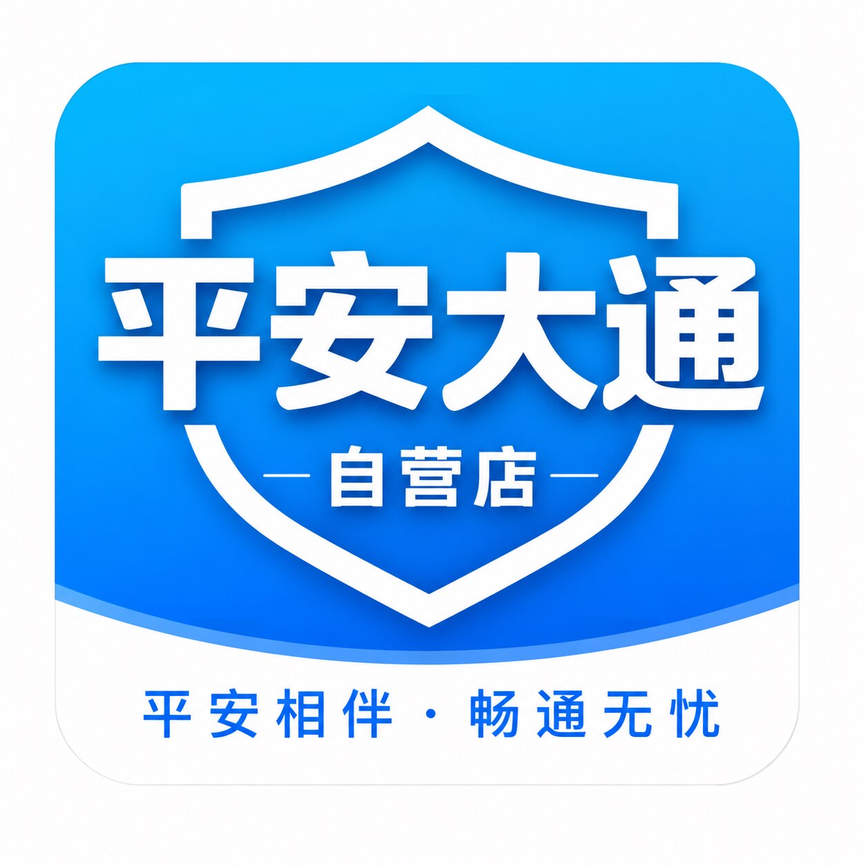 平安大通自营店