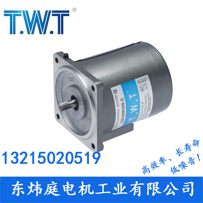 TWT motor 40W speed control motor 5IK40RGN-C 5RK40RGN-C Taiwan ...