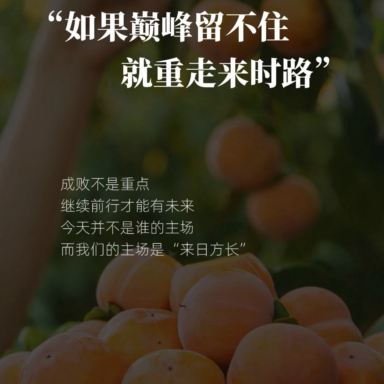 如果巅峰留不住那就重走来时路