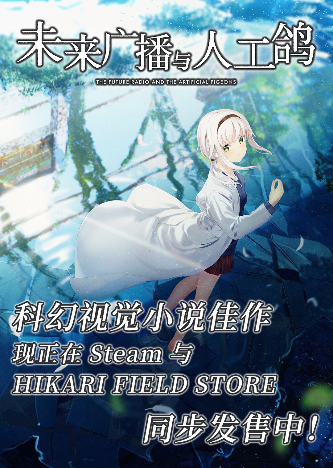 HIKARI FIELD Galgame官中特典动漫周边挂画补款 商品含运费