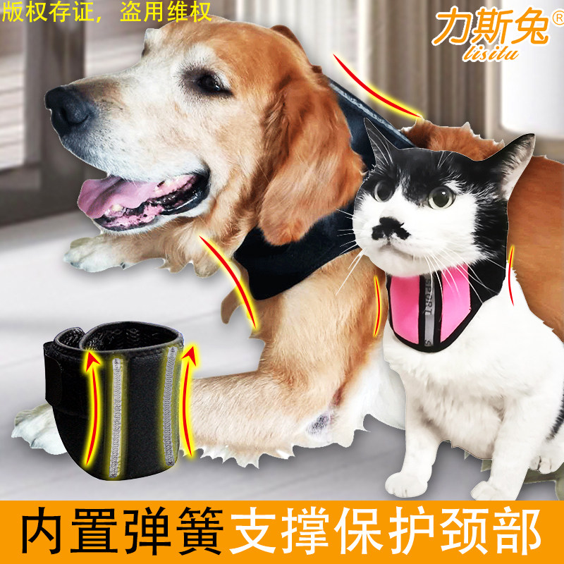 Dog neck protector: a must-have for golden retrievers and dobermans ...