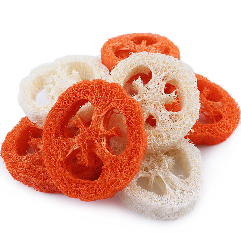 【buy 5 get 1 free】natural loofah slices: the ultimate teething toy for ...