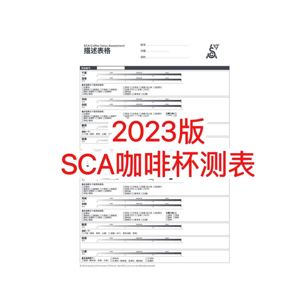CVA咖啡杯测表2023版SCA咖啡杯测表SCAA咖啡杯测表电子档中文英文