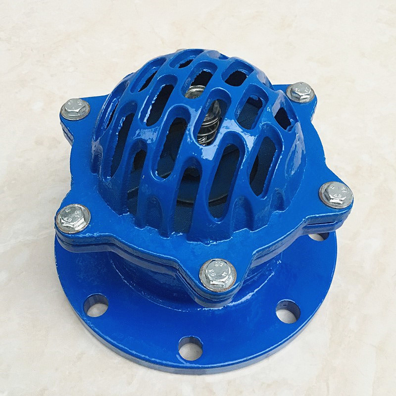 法兰底阀H42X-10/16：球墨铸铁花篮头水泵底阀的秘密武器！-底阀-淘宝百科网