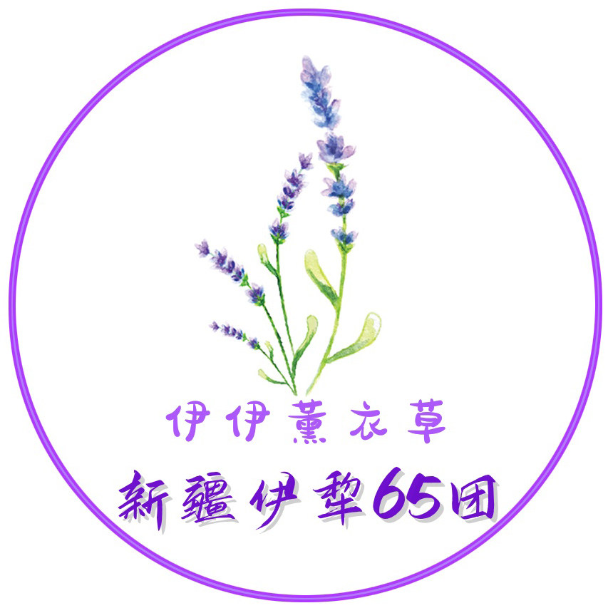 伊伊薰衣草产品 新疆伊犁65团