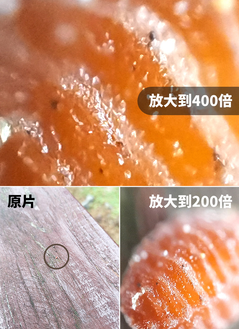 [USD 44.59] Cell Phone Microscope 400x Optical Professional Electronics ...