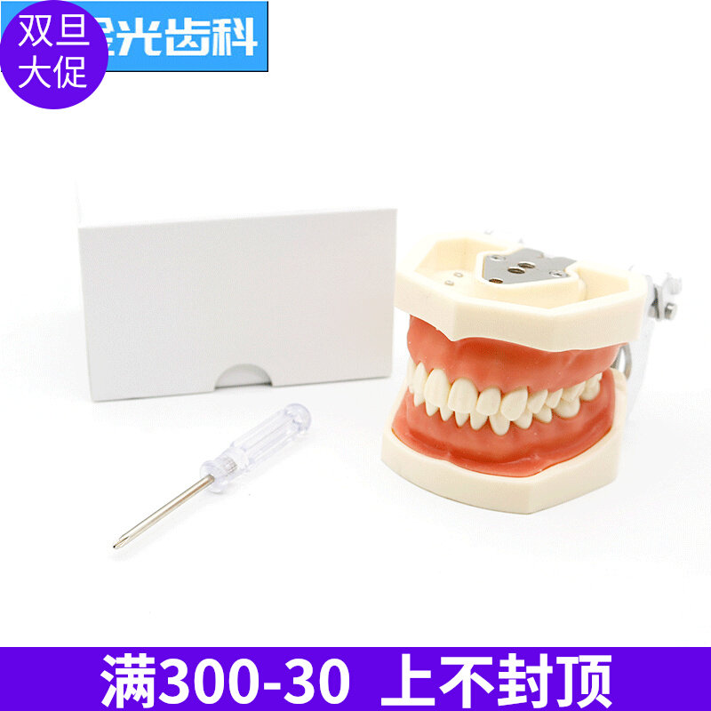 [USD 54.02] Dental Model Teeth Preparation Exercise Model Detachable ...