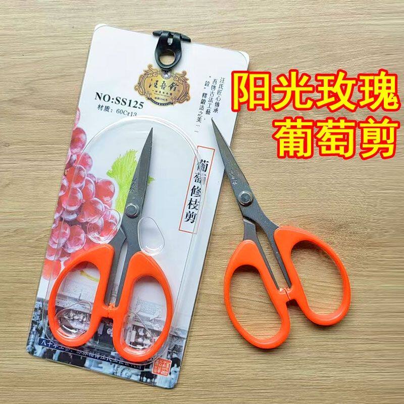 Free shipping wang wuquan ss125 sunshine rose grape scissors! gardening ...