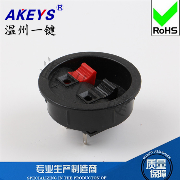 A must-see for audio enthusiasts! do you really need this wp2-8 speaker ...