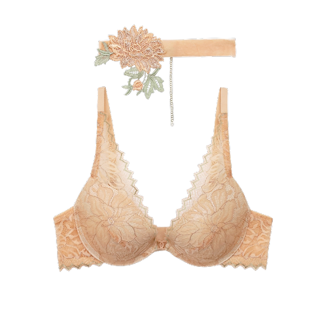 ANNEBRA sexy retro push-up lace bra