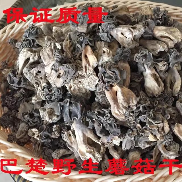 New Bachu Mushroom 100g Xinjiang Bachu Wild Mushroom Dried Edible ...