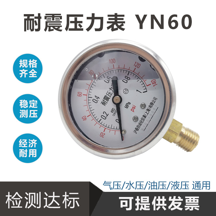 Earthquake Resistant Shock Resistant Pressure Gauge YN60 Earthquake Resistant Water Pressure ...