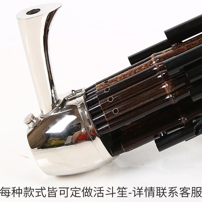 Tianjin Wang's Sheng Musical Instrument Professional Beginner 21 Reed ...