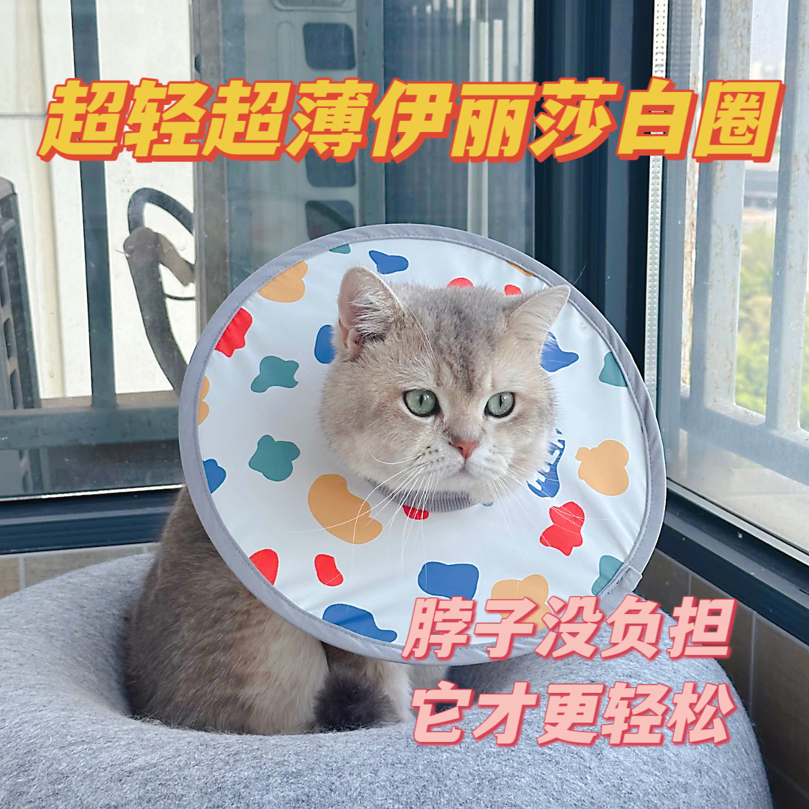 Lightweight elizabethan collar pet waterproof collar: 🐾 Protect your ...