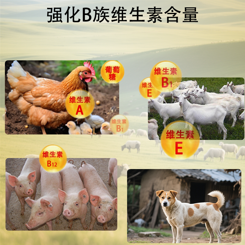 诺伟康活力健维：让你的宠物鸡鸭鹅活力满满，营养全面升级！-家养大动物饲料-淘宝好物网
