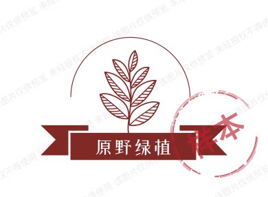 原野绿植