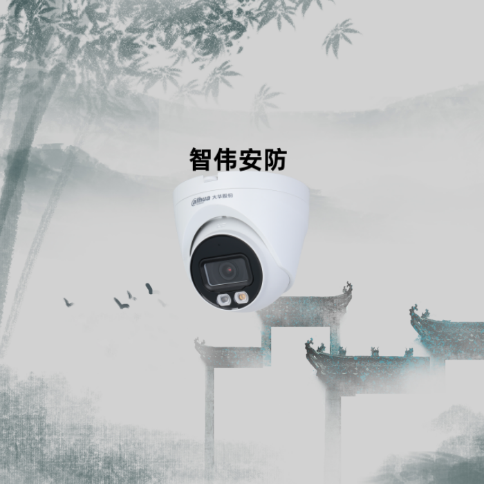 Dahua 4mp dual-light full-color hd network camera: your new choice for ...