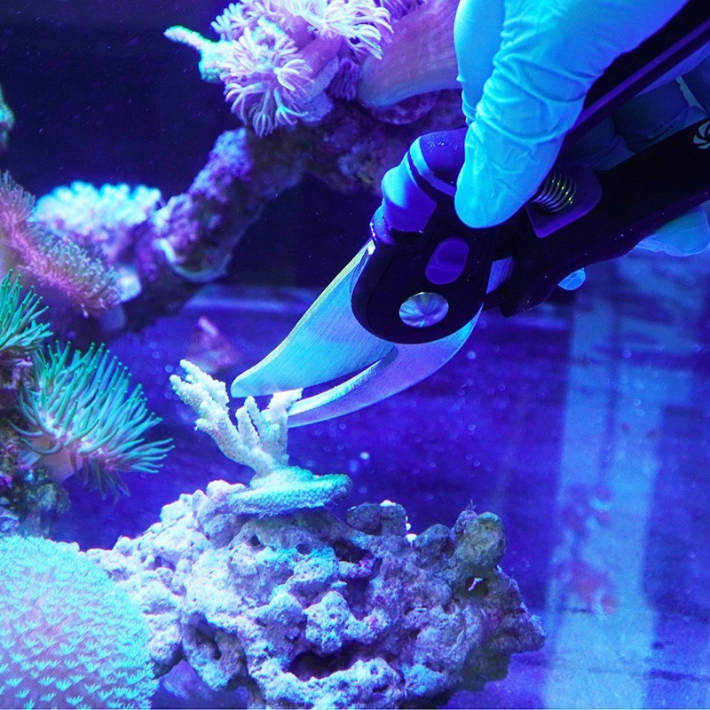 [USD 23.67] Mai Guang Coral SPS Scissors Seawater Tank Tool Tweeters ...