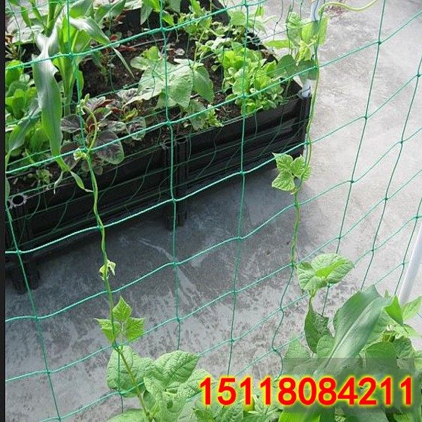 Buy Gardening climbing rattan net nylon net vegetable melon fruit towel ...